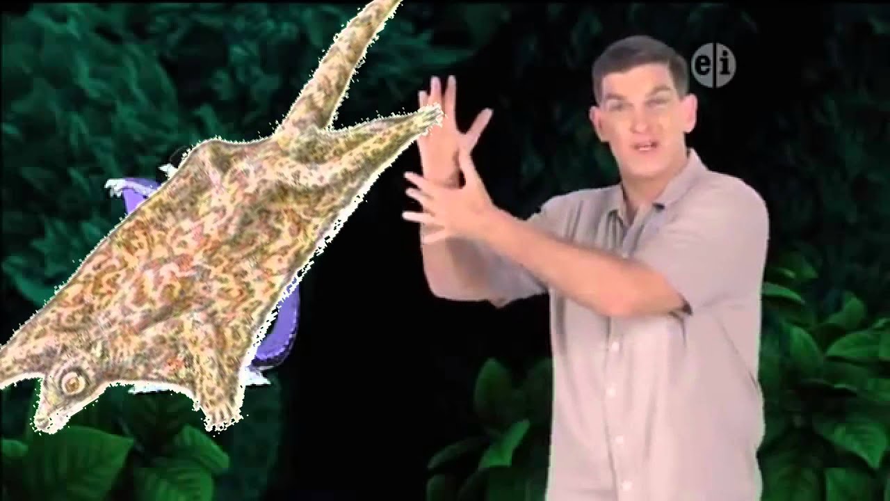 Dinosaur Train Ophthalmosaurus