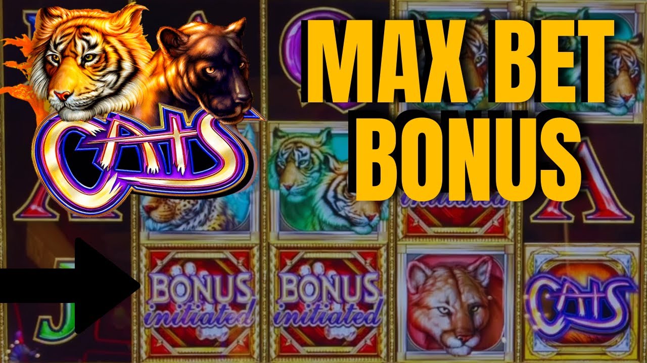MAX BET BONUS! Cats Slot Machine in Las vegas - YouTube