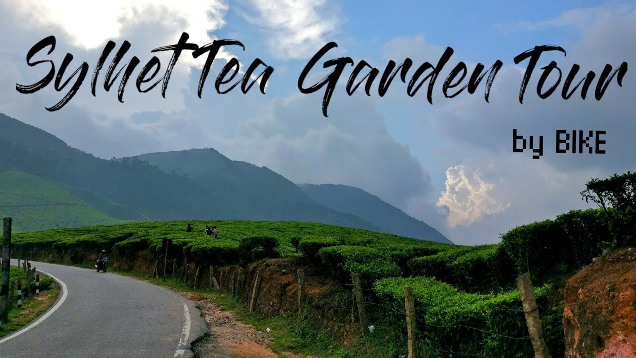 Sylhet Tea Garden Tour by Bike(2020) | Mobile Cinematography - YouTube