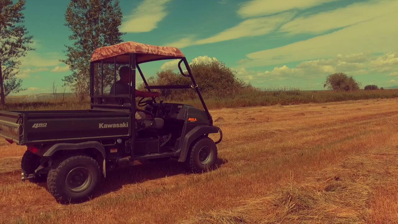 Hammer Ranch for the Weekend - YouTube