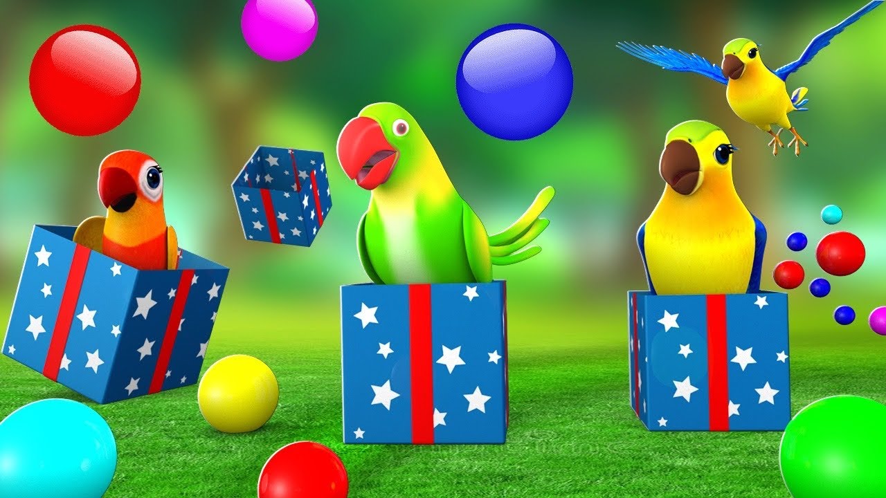 Funny Parrot Talking Learn Colors Surprise Gift Box - Cute Parrots ...