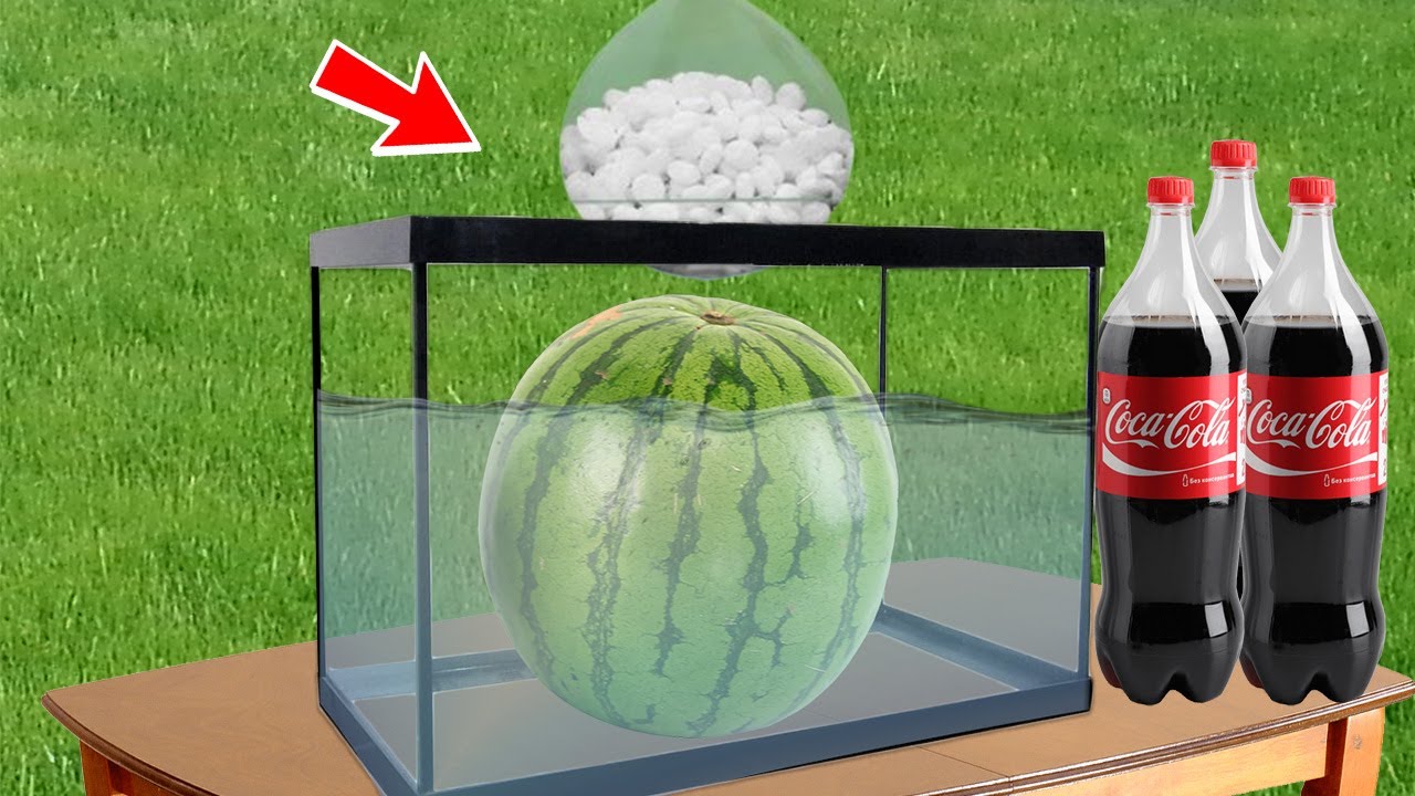 Why did it happen?😯 Experiment: WATERMELON & COCA COLA and MENTOS UNDER ...