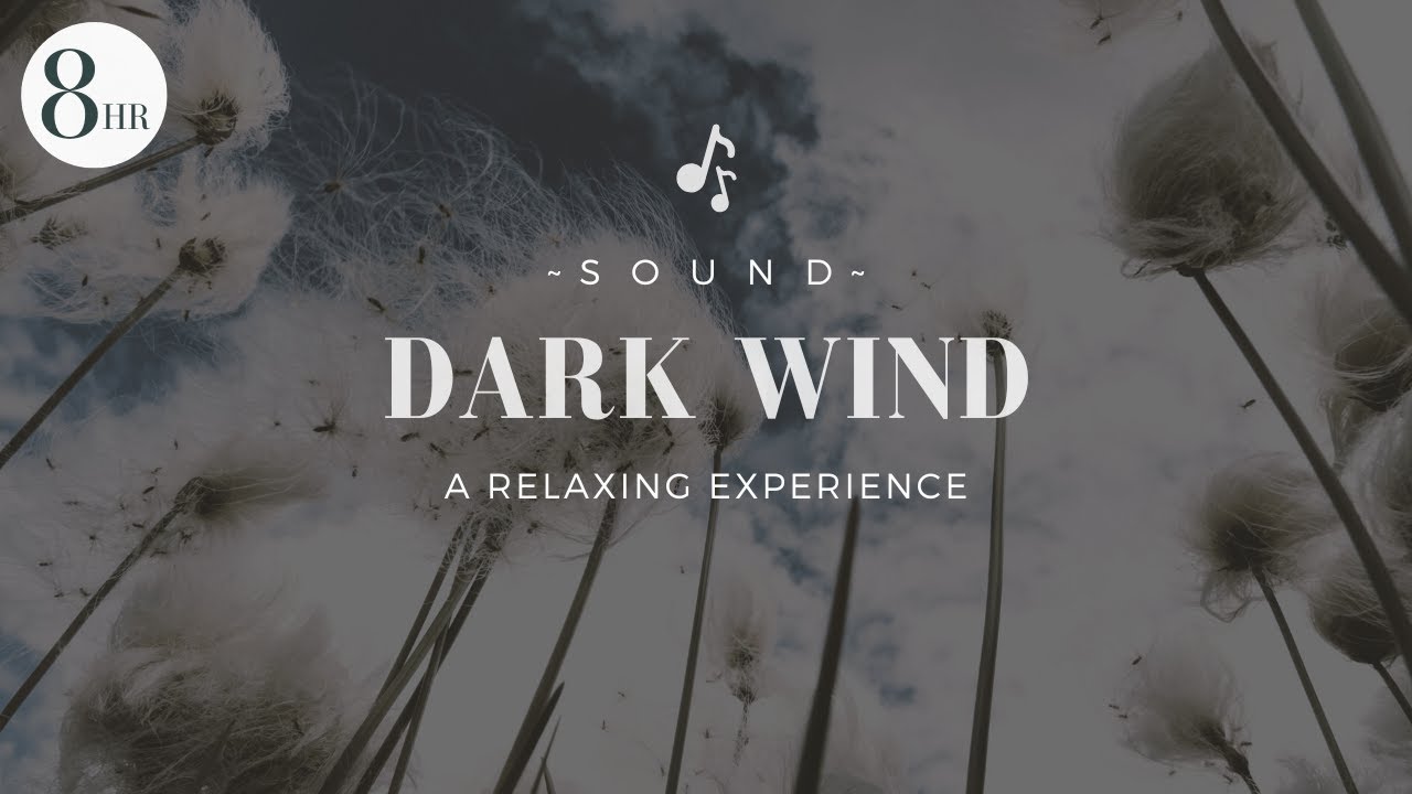 Night time Breeze: A Dark Howling Wind Sound for Sleeping & Relaxation ...