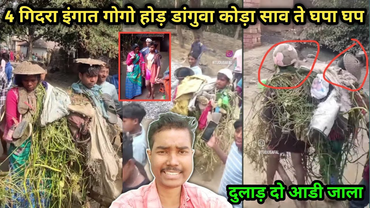 4 Gidra Engat Gogo Hor Dangwa Kura Sao Te Ghapa Ghap // New Santali ...