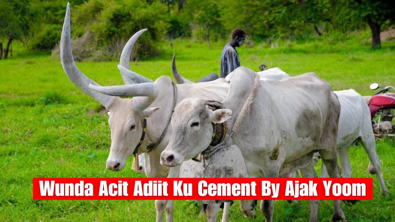 New Classic Dergel Hit Song Wunda Acit Adiit Ku Cement By Ajak Yoom - YouTube