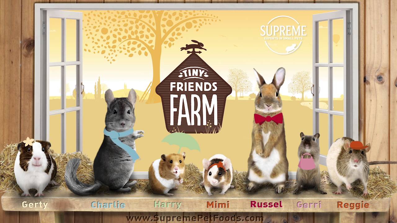 TINY FRIENDS FARM COMMERCIAL - YouTube