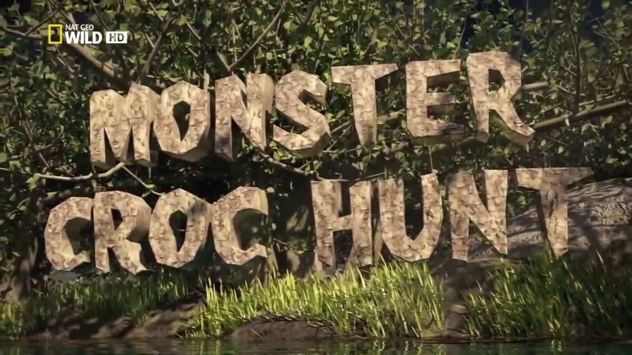 Dangerous Animals - Monster Croc Hunt - Nat Geo Wild HD - YouTube