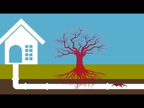 Drain Line Scope - Root Intrusion / Corrosion - YouTube