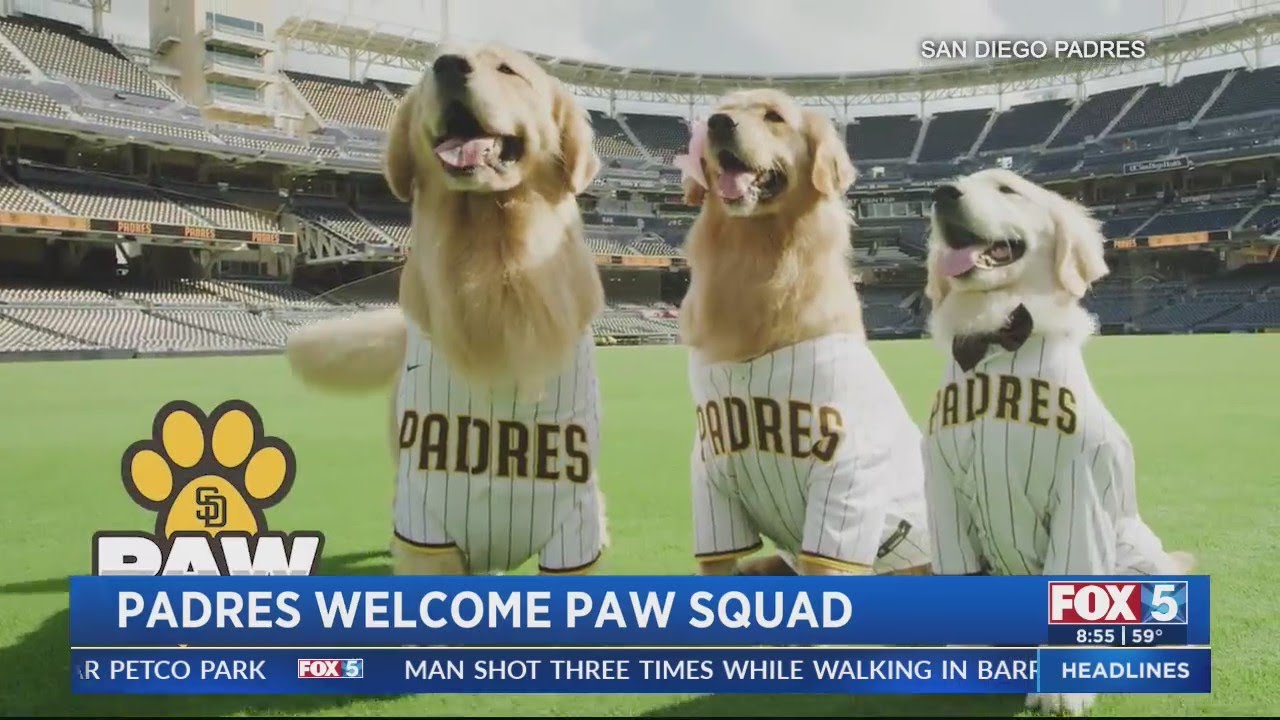 Padres Welcome Paw Squad - YouTube