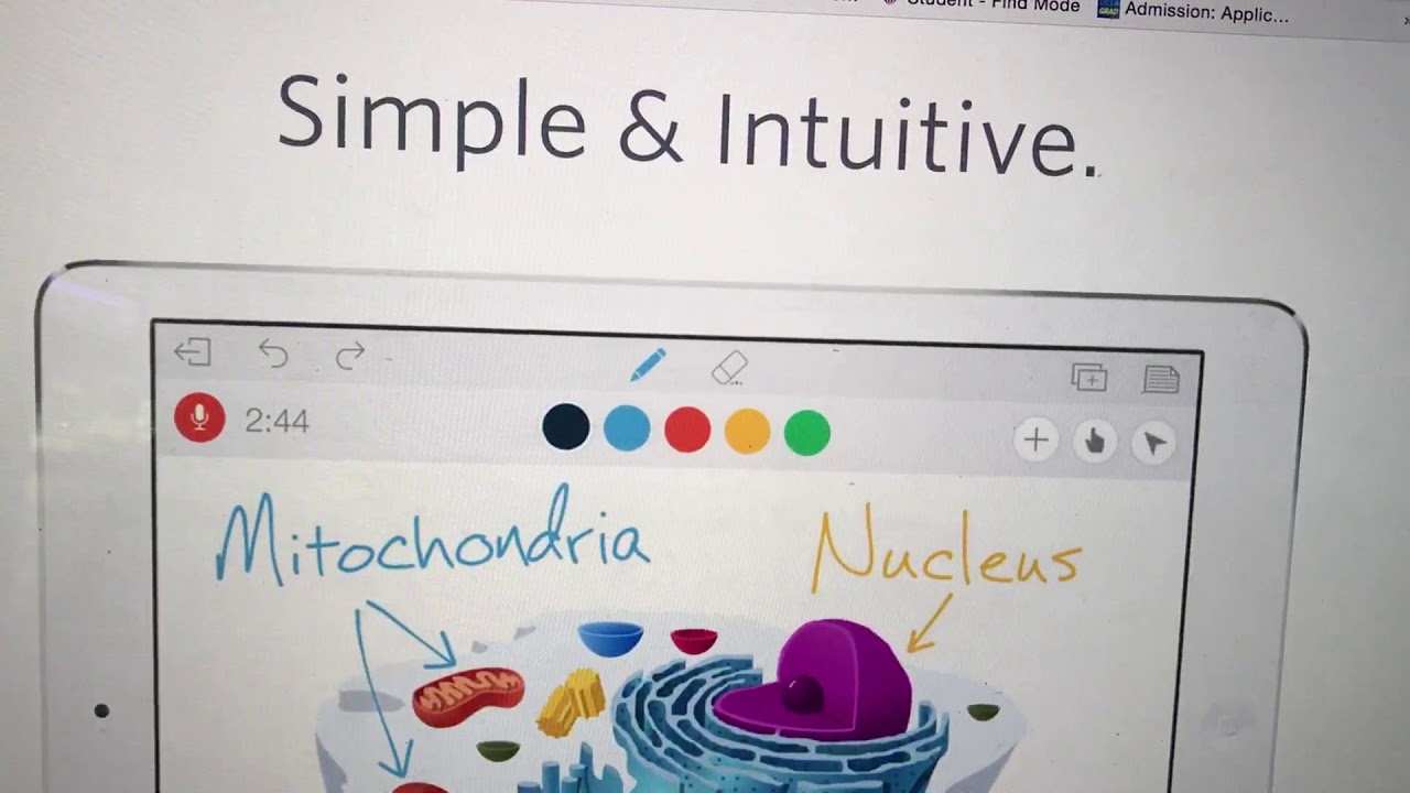 Critical Mathematics Literacy in Classroom Full HD,1920x1080 - YouTube