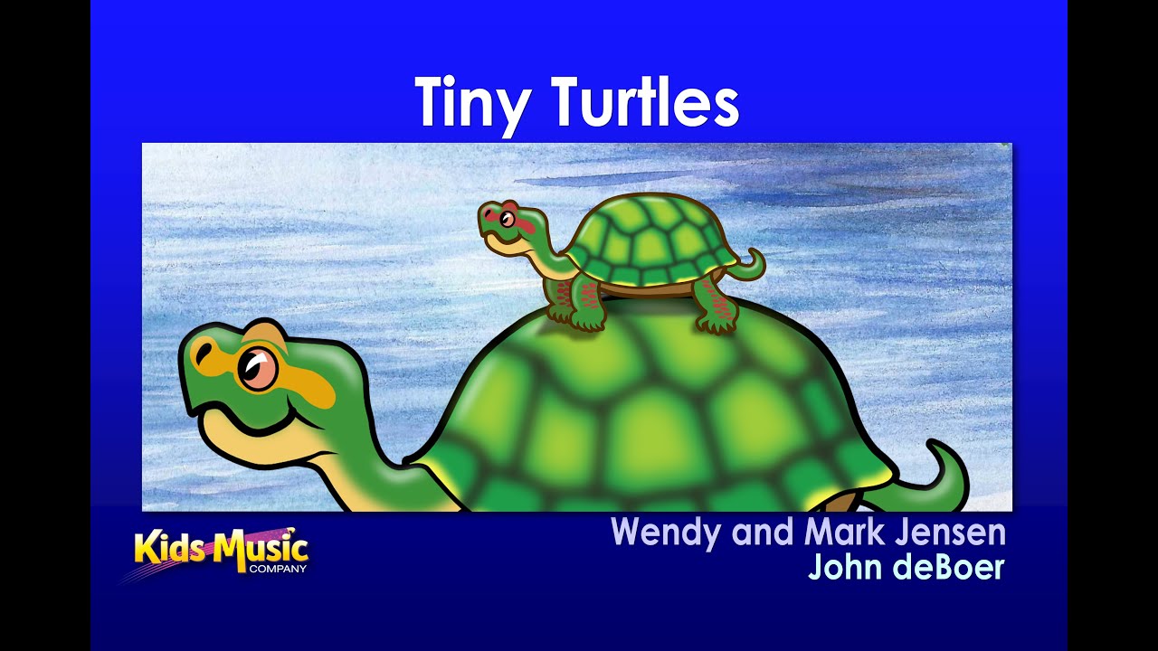 Tiny Turtles - Video Book - YouTube