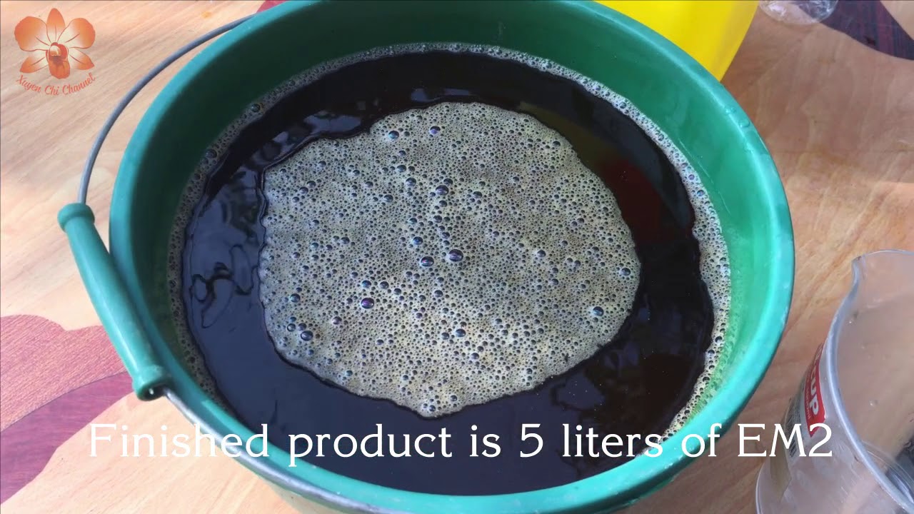 Cách làm EM2 cực nhanh và hiệu quả từ chế phẩm vi sinh gốc EM1|| How to ...