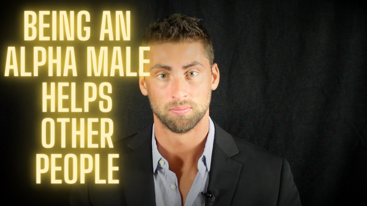 Why Being An Alpha Male Helps Other People | HOW TO BE AN ALPHA MALE ...