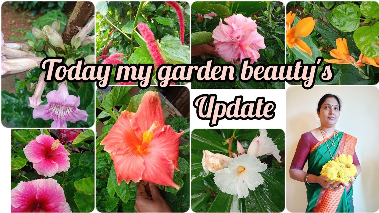 Friday garden beauty's ️💕 - YouTube