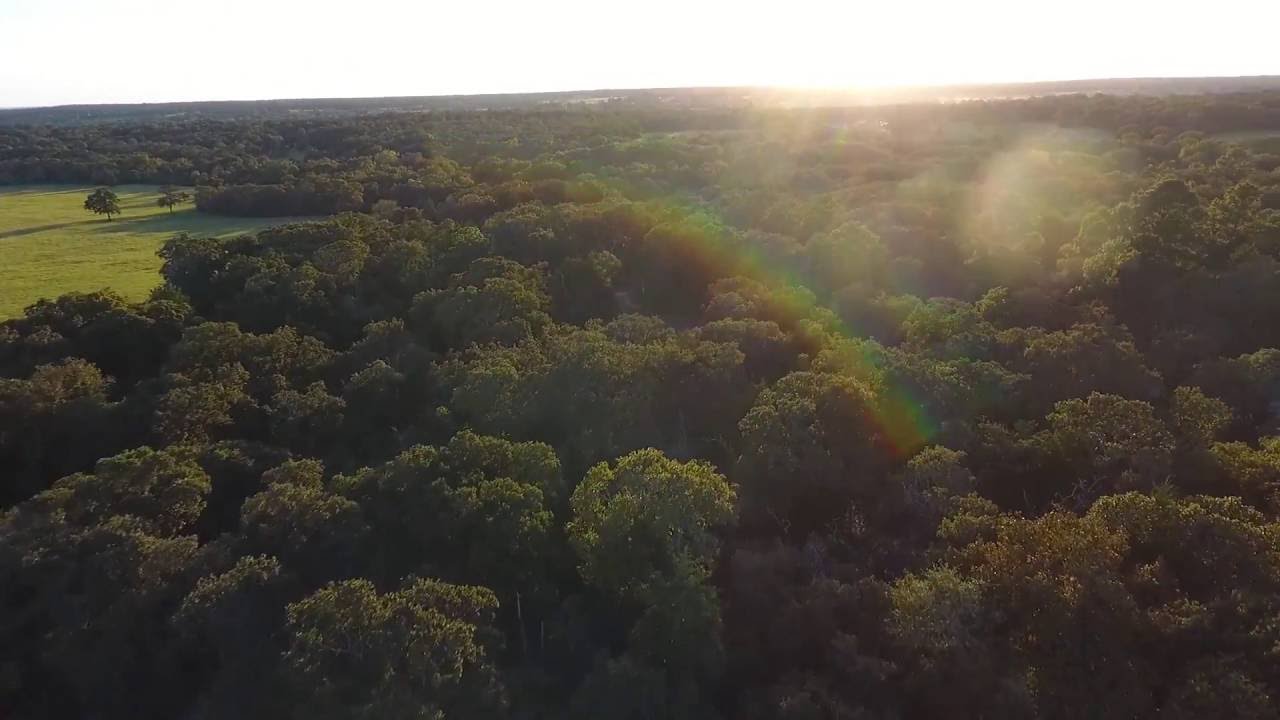 Outback Ranch - Milano, TX - YouTube