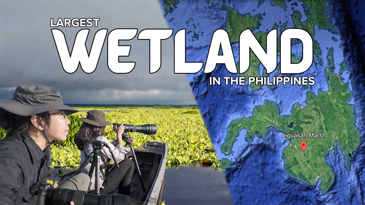 LIGUASAN MARSH: The LARGEST & most intact WETLAND in the PHILIPPINES ...