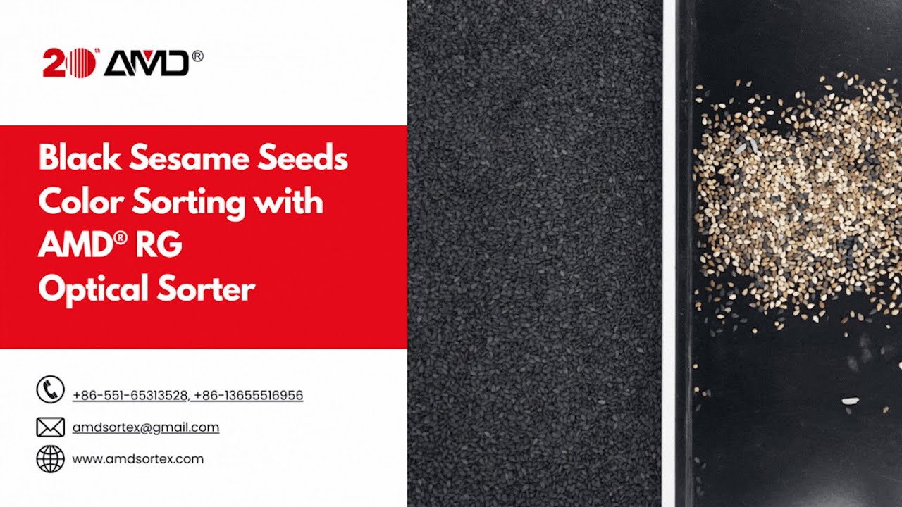 Black Sesame Seeds Color Sorting with AMD® RG Optical Sorter - YouTube