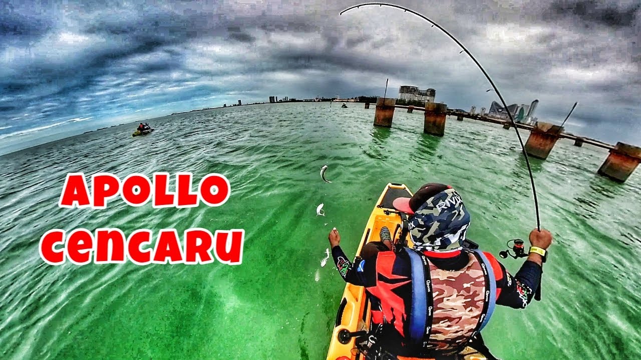 AIR LAUT SEJUK - Apollo Cencaru Di Tiang Koi & Rezeki Ikan Dari Nelayan ...