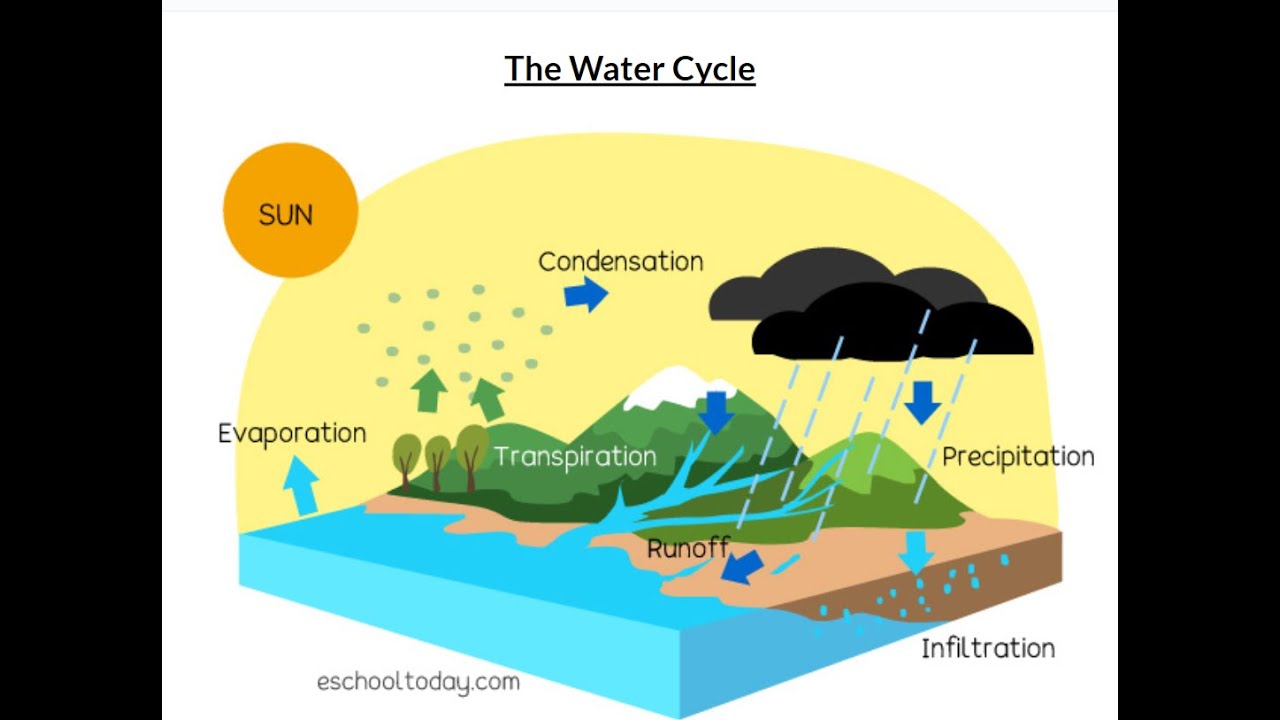 Sublimation Water Cycle Digitalising Water Cycle:A Pathway To