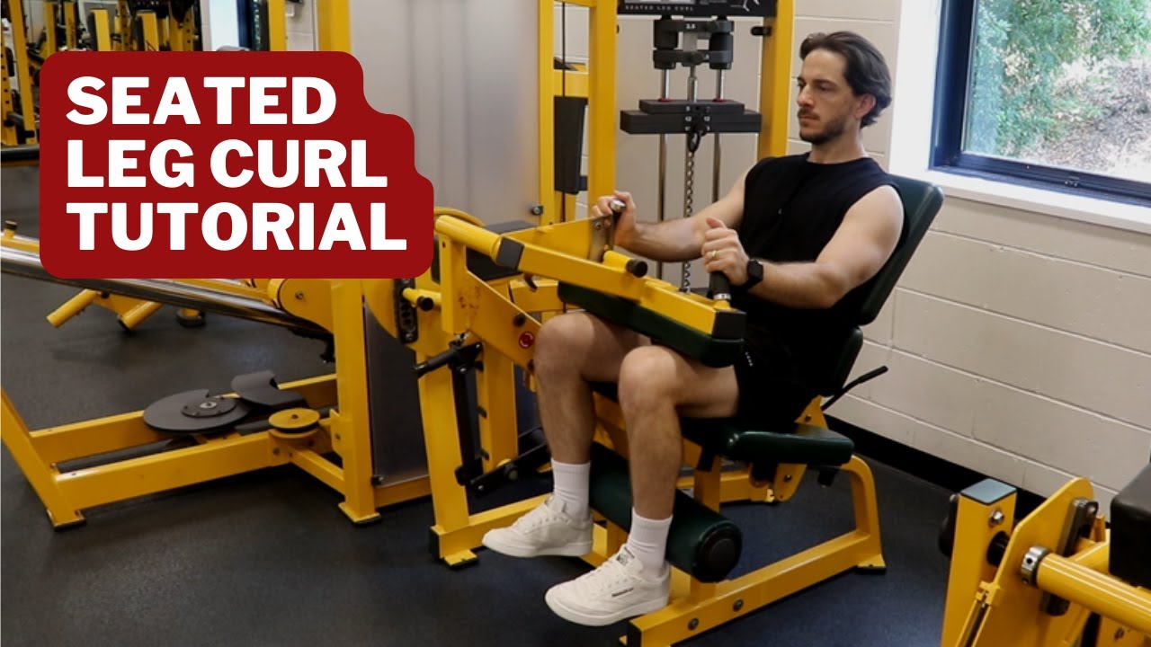 Seated Leg Curl Tutorial - MRF - YouTube