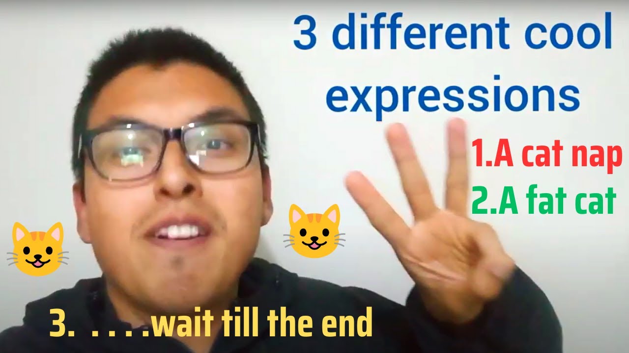 3 different cool expression using the word "Cat" - YouTube
