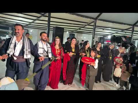 Rojhat İlter Kına Gecesi / Grup Nihat Silopi / #ozanahmetsilopi   ZEVGİ Aşireti 