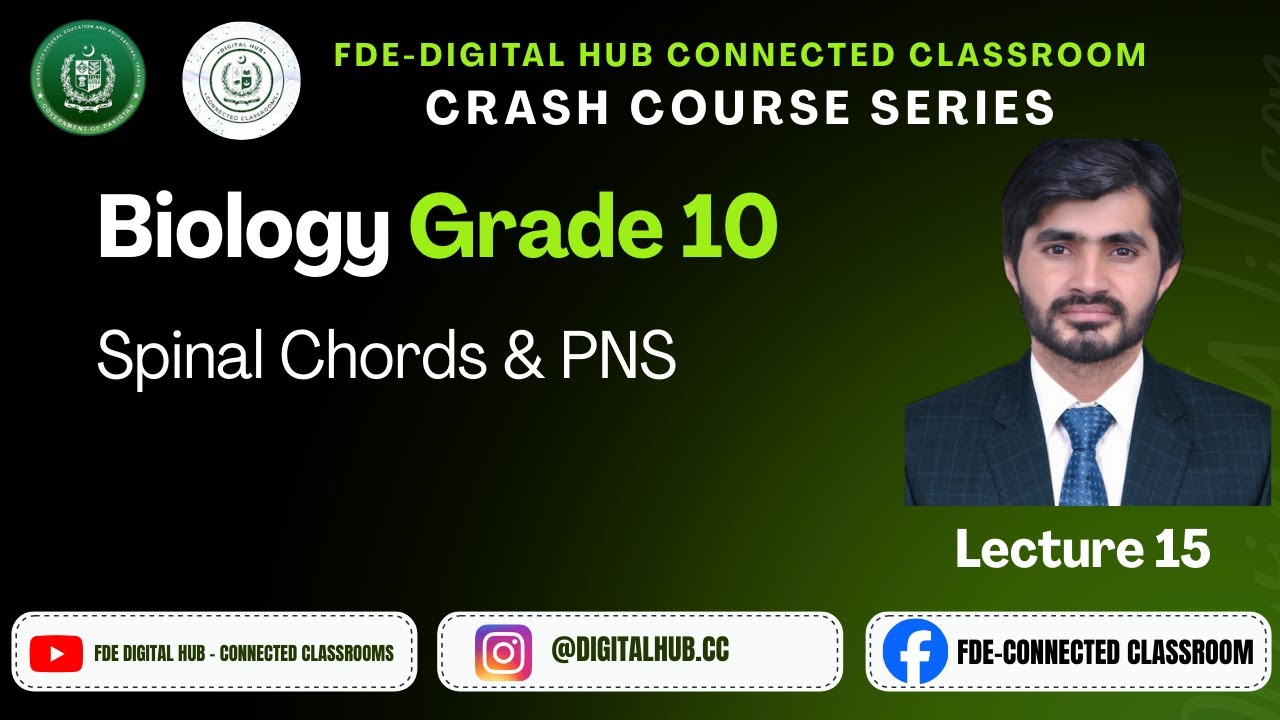 Spinal Chords & PNS | Biology | Grade 10 | Crash Course Series | FDE ...