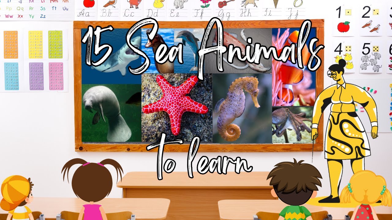 15 Sea Animals for Kids to Learn || Kids Videos for Learning || Edu ...