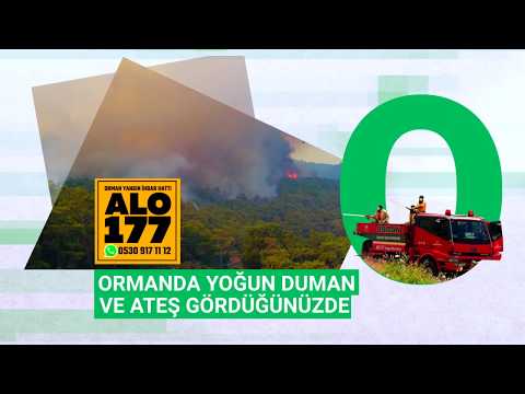 ORMANLARIMIZI KORUMAK İÇİN YAPABİLECEKLERİMİZ VAR