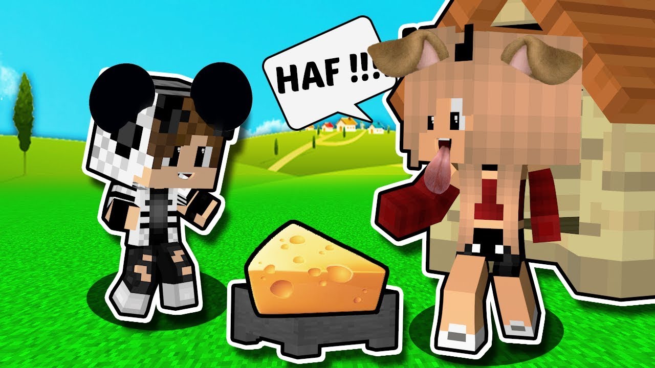 SCHOVKA ALE KOČKA JE PES! MINECRAFT SCHOVKA! 🐶💚 - YouTube