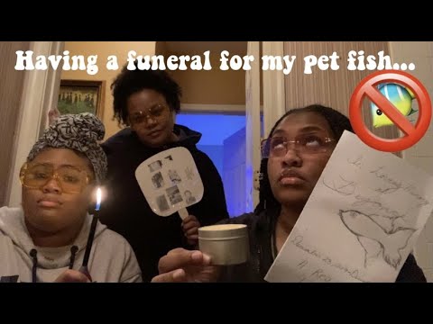 HAVING A FUNERAL FOR MY DEAD FISH !!!!! - YouTube