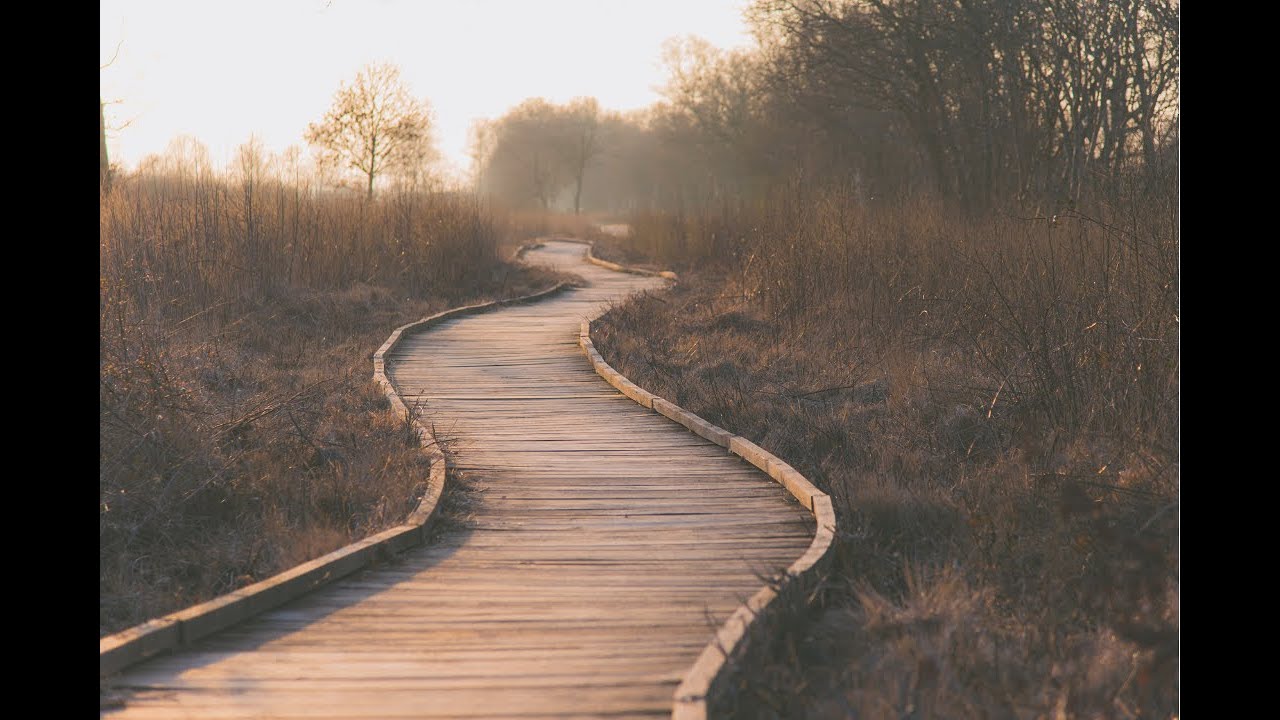 "Taking It Personally" | Renee Resler | August 12, 2023 - YouTube