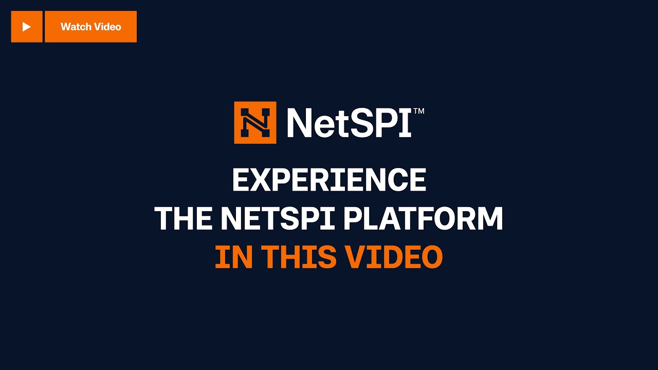 Experience The NetSPI Platform - YouTube