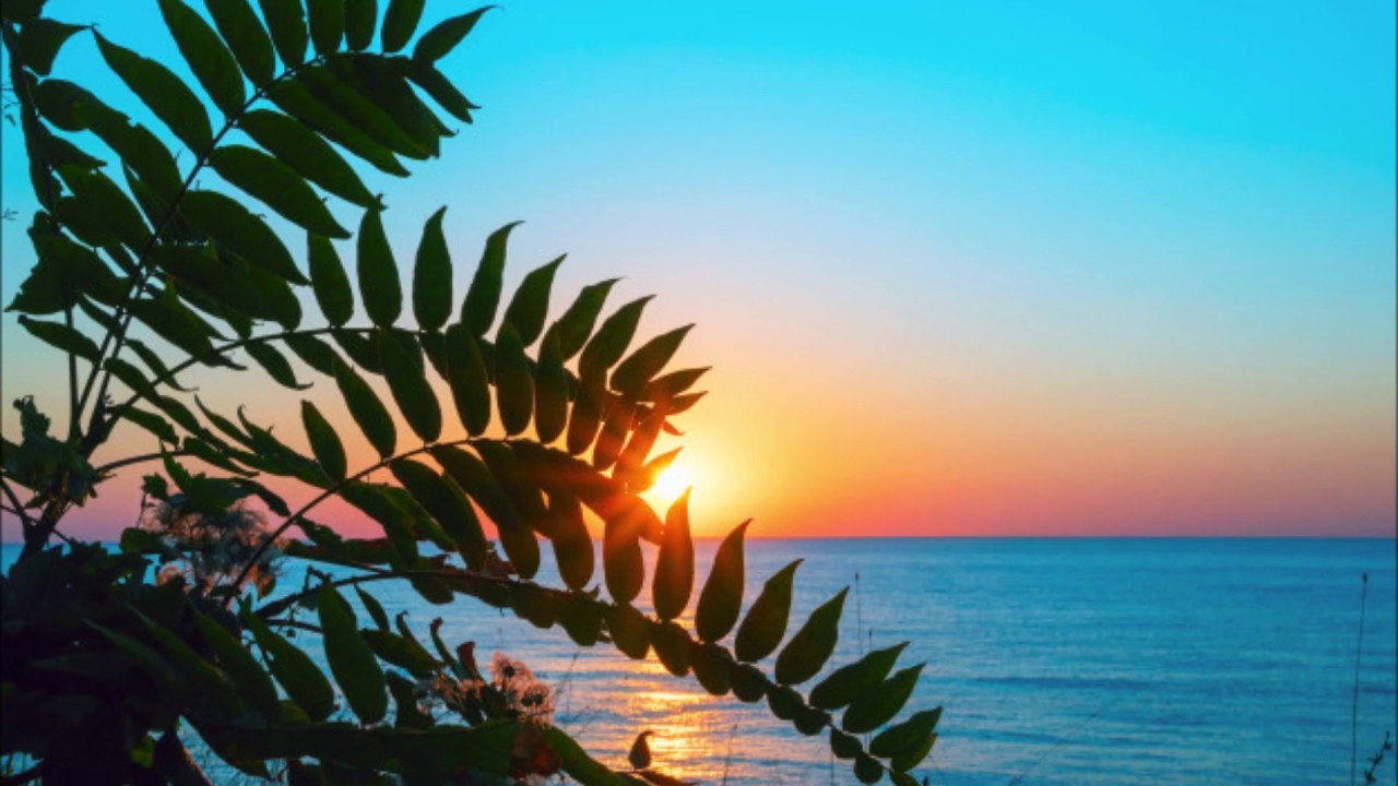 Malino - Lily Of The Valley (Hawaiian Reggae) - YouTube