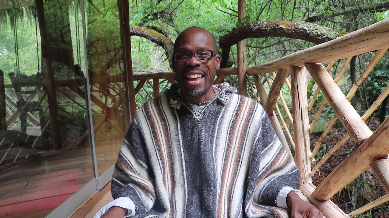 Pernu - Ayahuasca Retreat Testimonial/Review - Noya Rao Plant Dieta ...