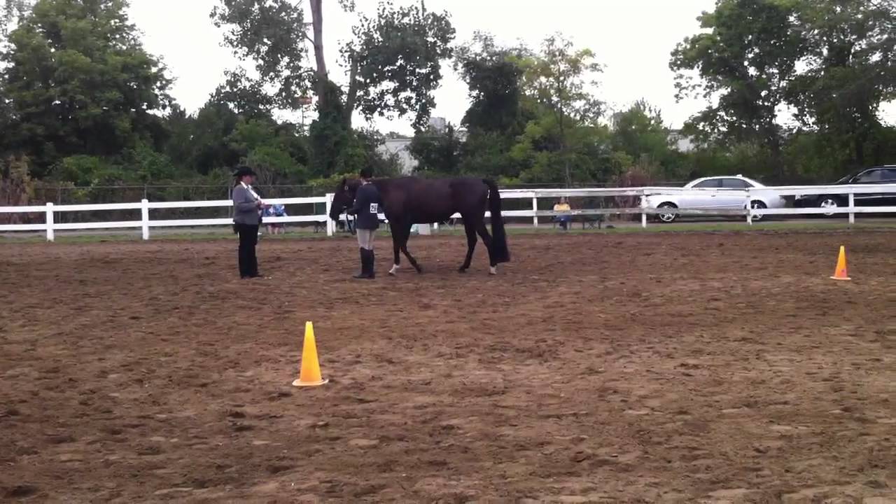 English Showmanship - YouTube