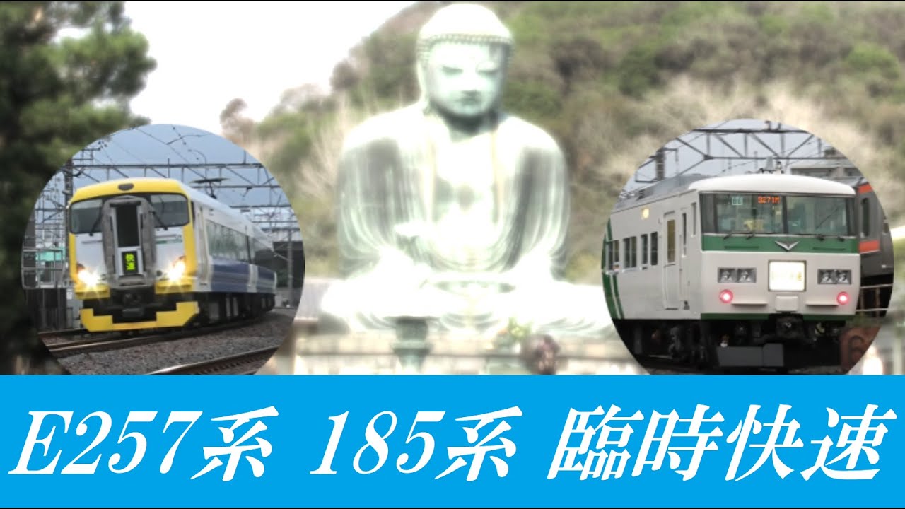 E257系 ホリデー快速 鎌倉号 / 185系 快速 鎌倉あじさい号 - YouTube