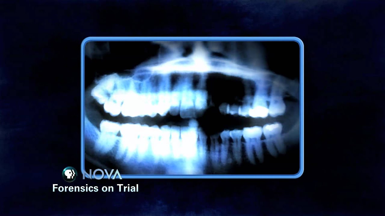 Forensics on Trial | NOVA - YouTube
