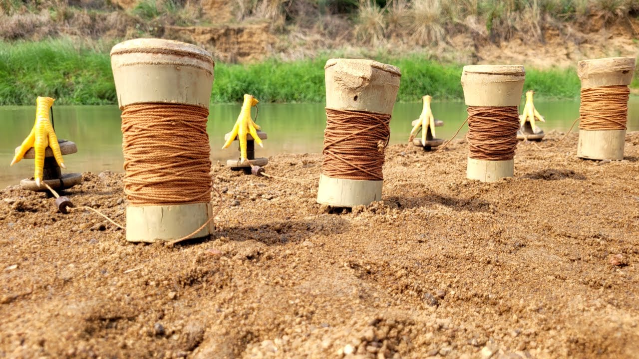 Fishing video Best fishing trap innovation to Hunting fish with wheel ...