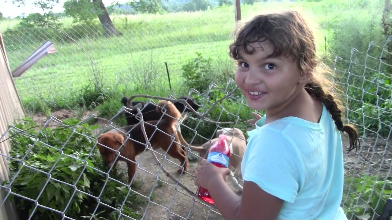 The Country Episode 780 Jack Chappell Rd. IV - YouTube