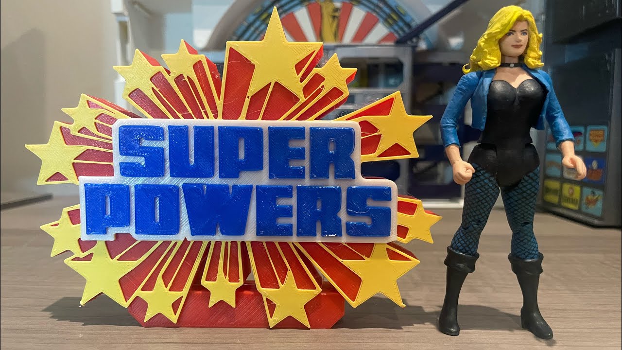 Review #40: RB Customs Super Powers Custom Black Canary Action Figure ...