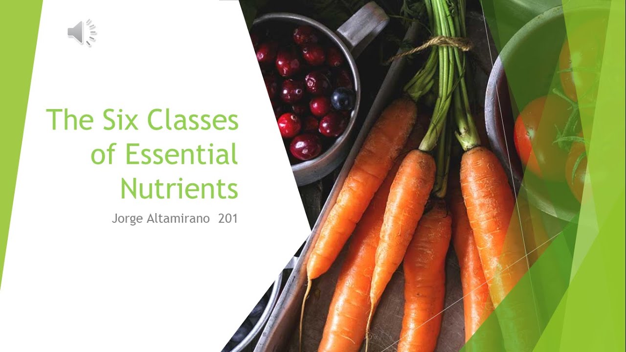 3 SIX CLASSES OF ESSENTIAL NUTRIENTS YouTube 3-six-classes-of-essential-nutrients-youtube
