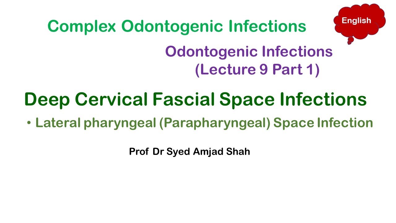 Lateral pharyngeal | Parapharyngeal Space Infection | Deep Cervical ...