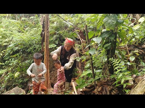 Today it's raining and going to catch stone crabs - YouTube