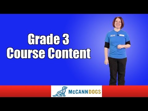 Grade 3 Course Content Family Dog Obedience - YouTube