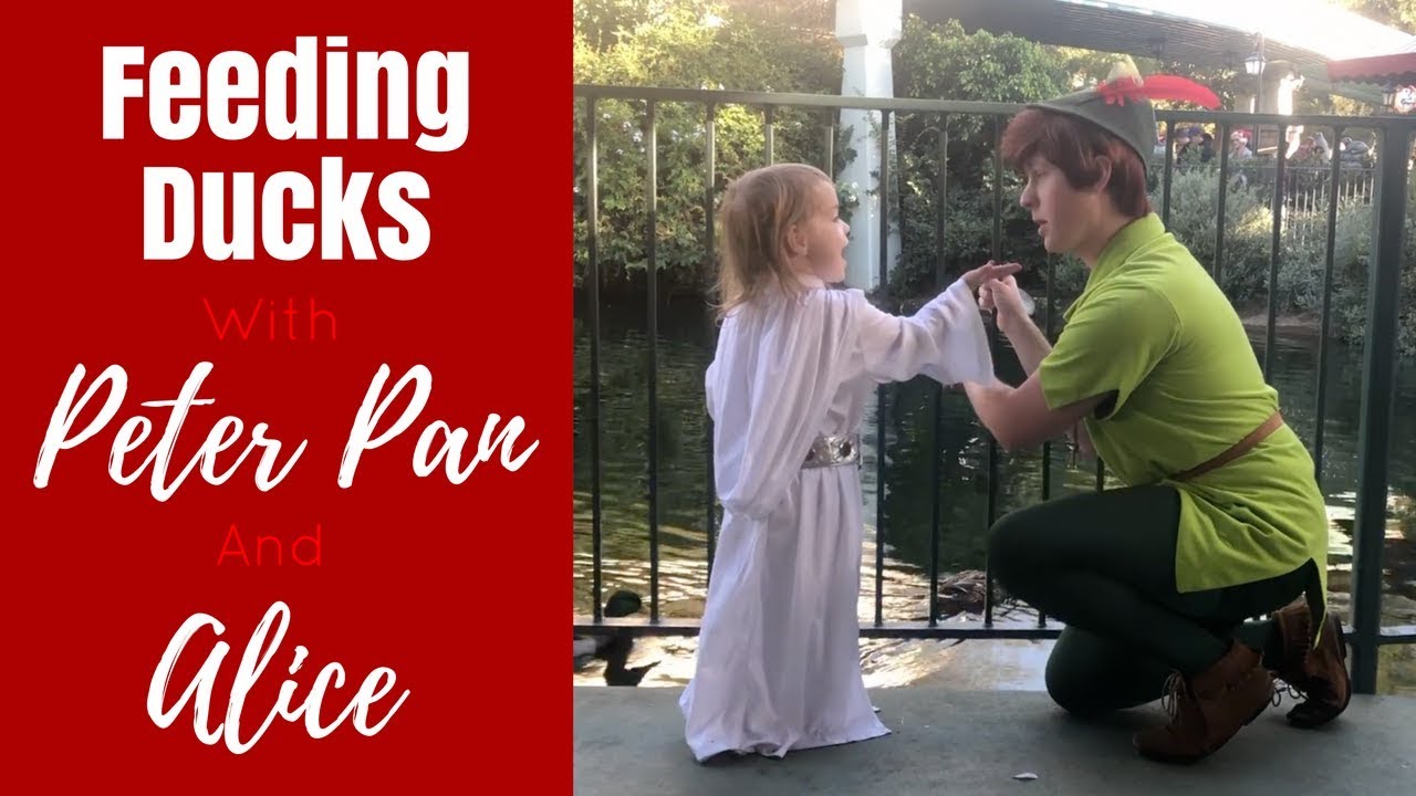 Feeding Ducks with Peter Pan and Alice - YouTube