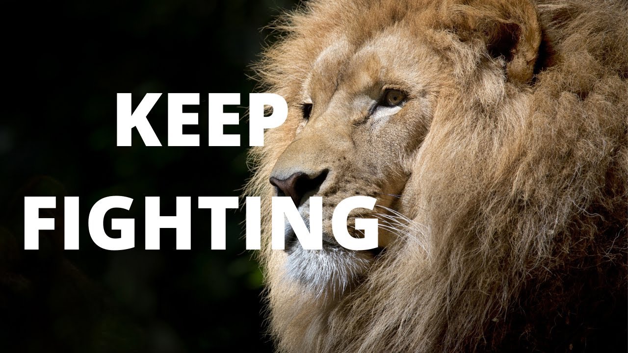 KEEP FIGHTING UNTIL YOU WIN - BEST MOTIVATIONAL VIDEO (LIFE CHANGING ...