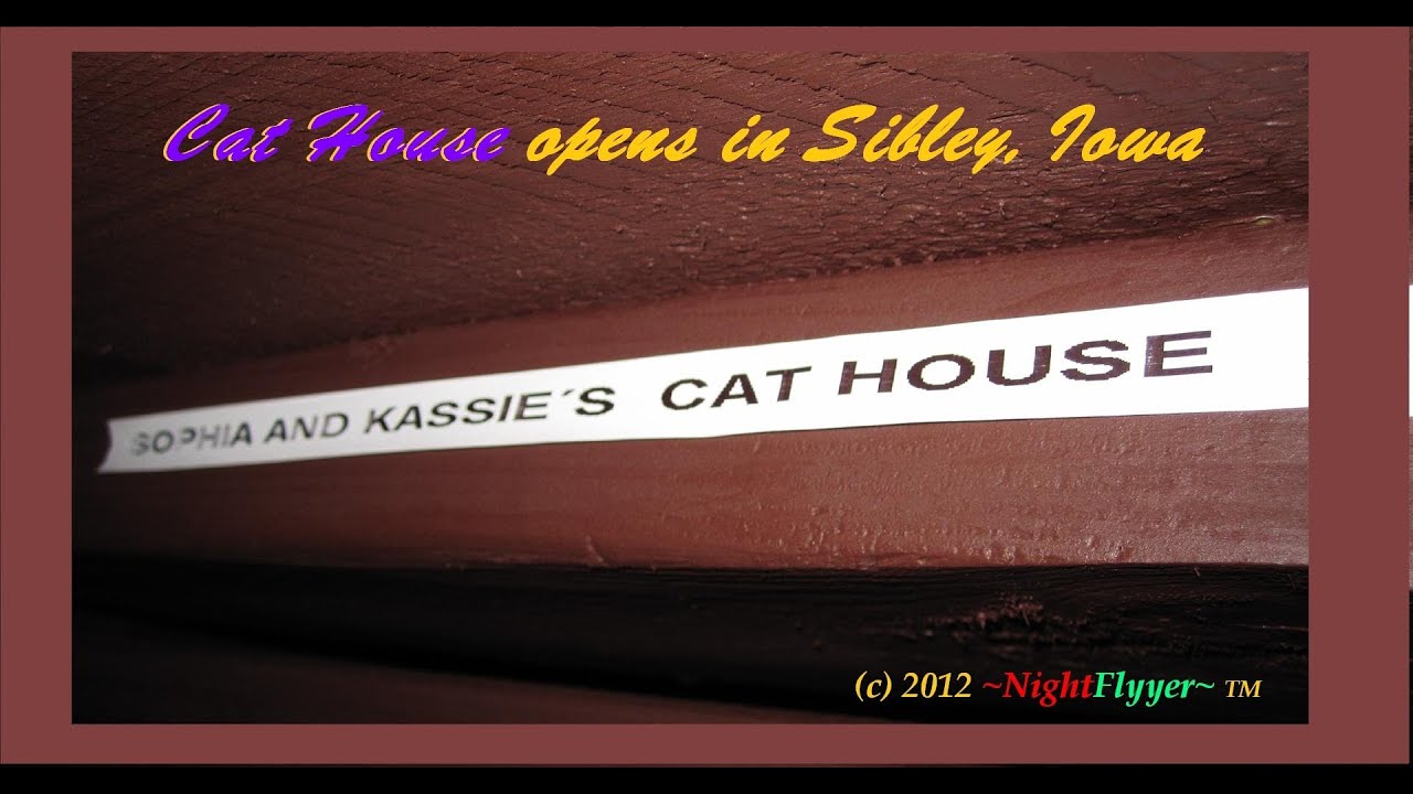 Cat House opens in Sibley, Iowa! - YouTube