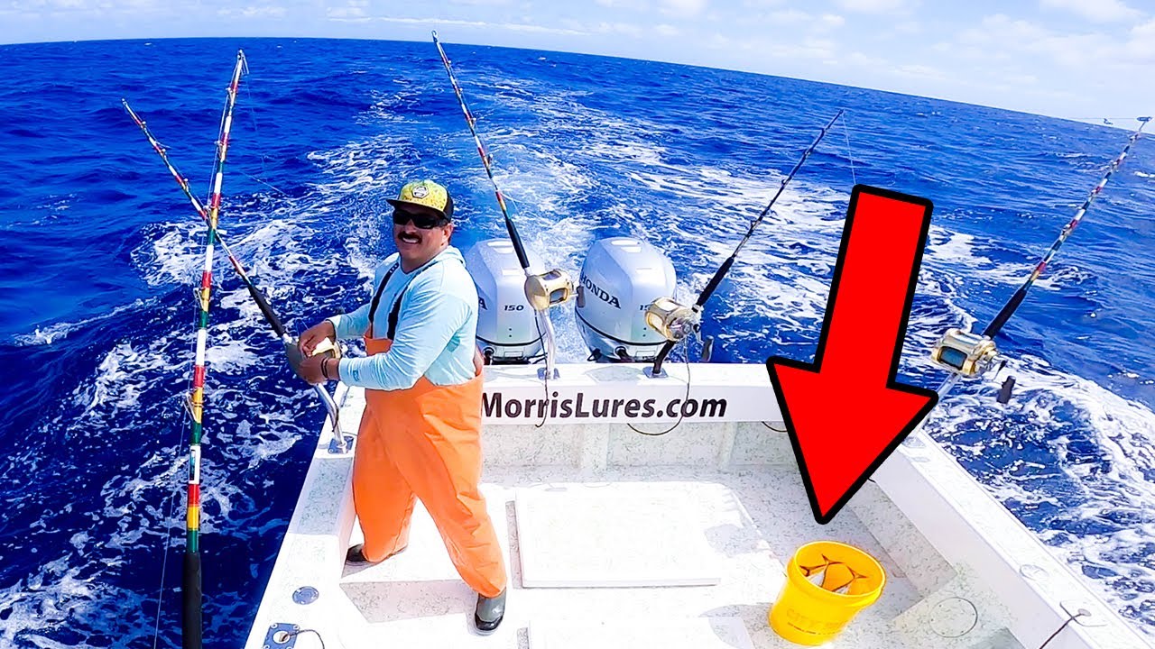 FLORIDA TRASH FISH IS HAWAII'S MOST PRIZED FISH! CATCH AND COOK! - YouTube