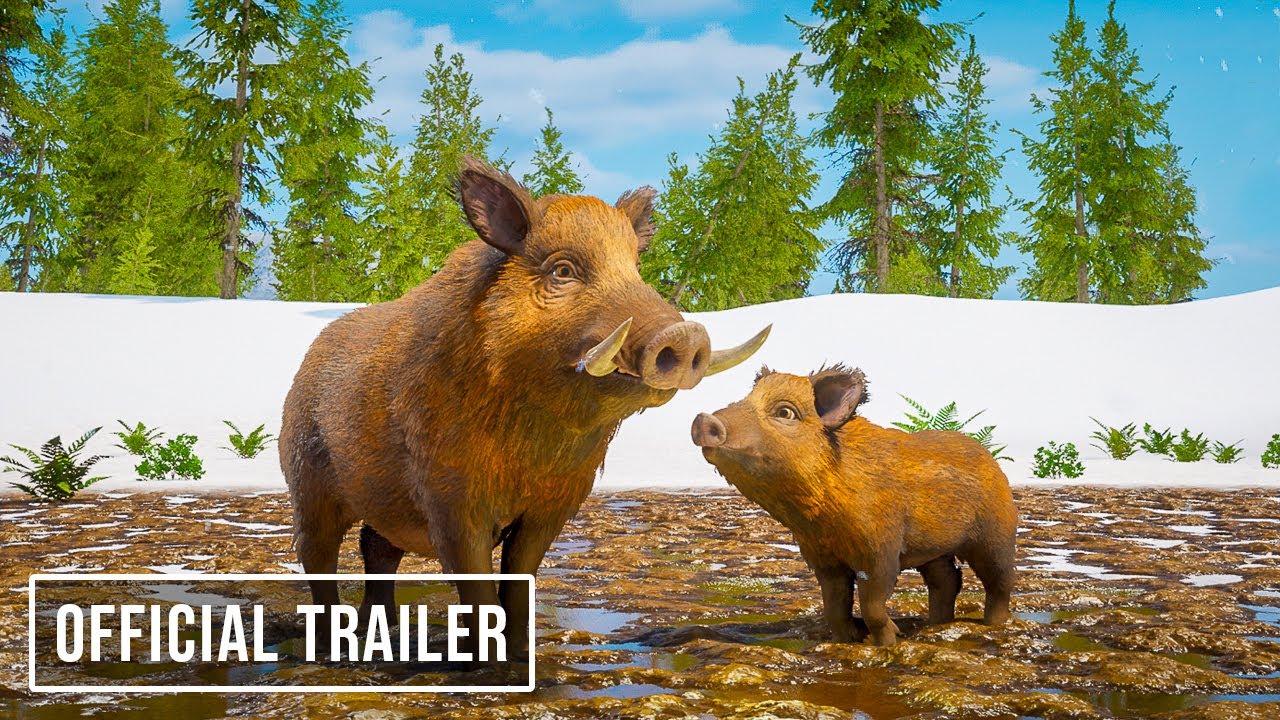 Wild Movie Trailer